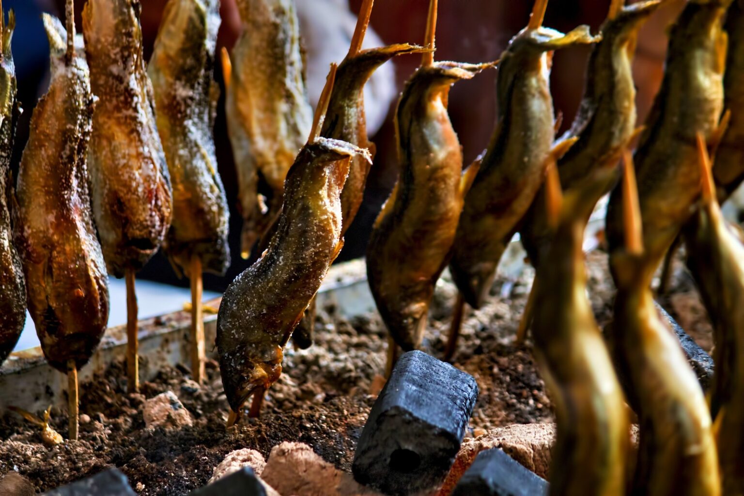 Why Don't You Taste Ayu (Sweetfish)? - The Most Precious & Unique Fish ...