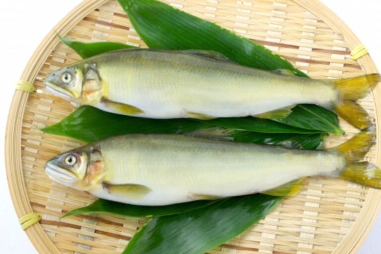 Why Don't You Taste Ayu (Sweetfish)? - The Most Precious & Unique Fish ...